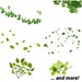 Photoshop Overlays, Leaves Branches Photo Overlays Package, Tree Plants ...