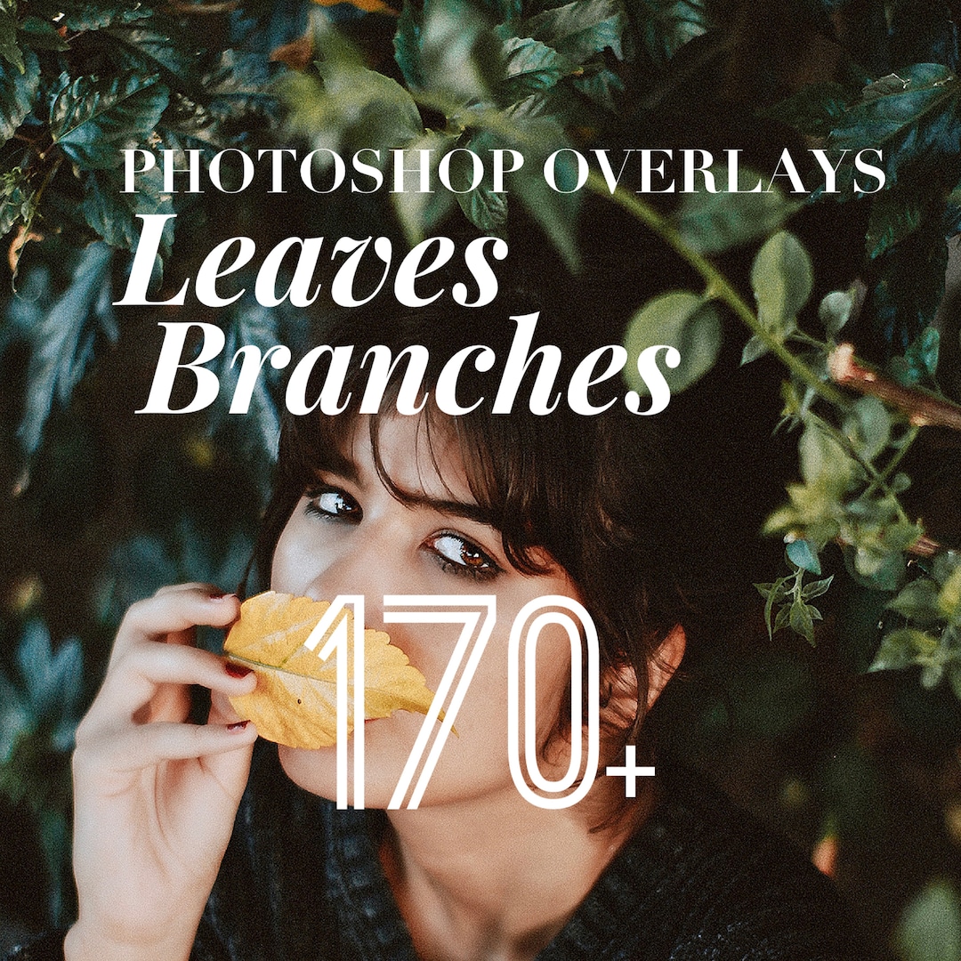 Photoshop Overlays, Leaves Branches Photo Overlays Package, Tree Plants ...