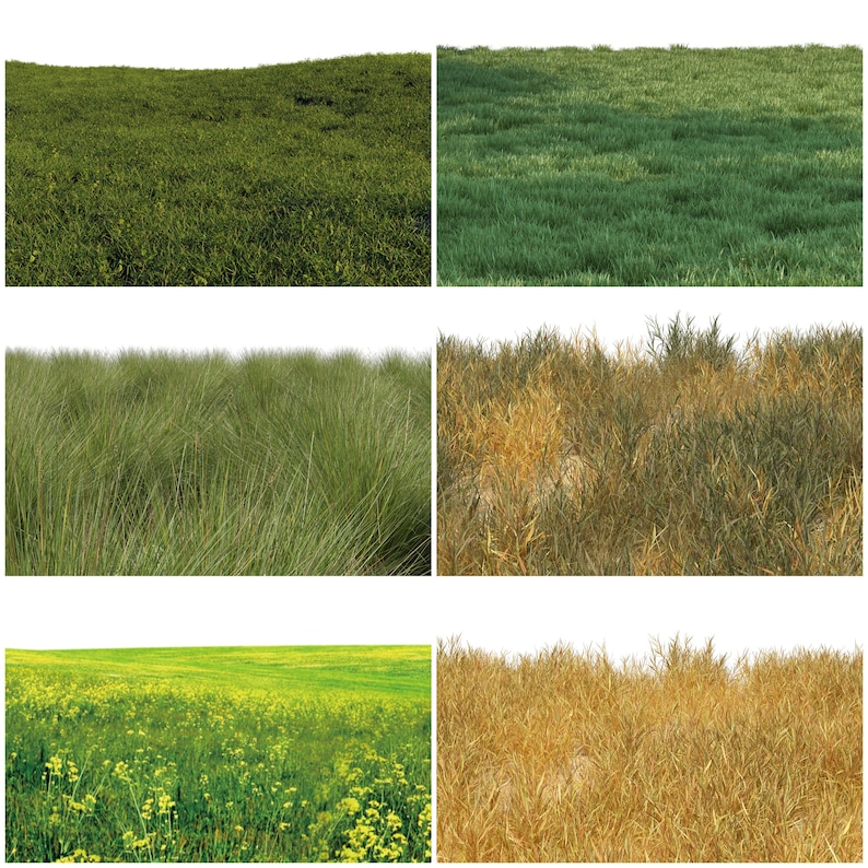Grass Photoshop Overlays, Photo Overlays Package, Plants Nature PS ...