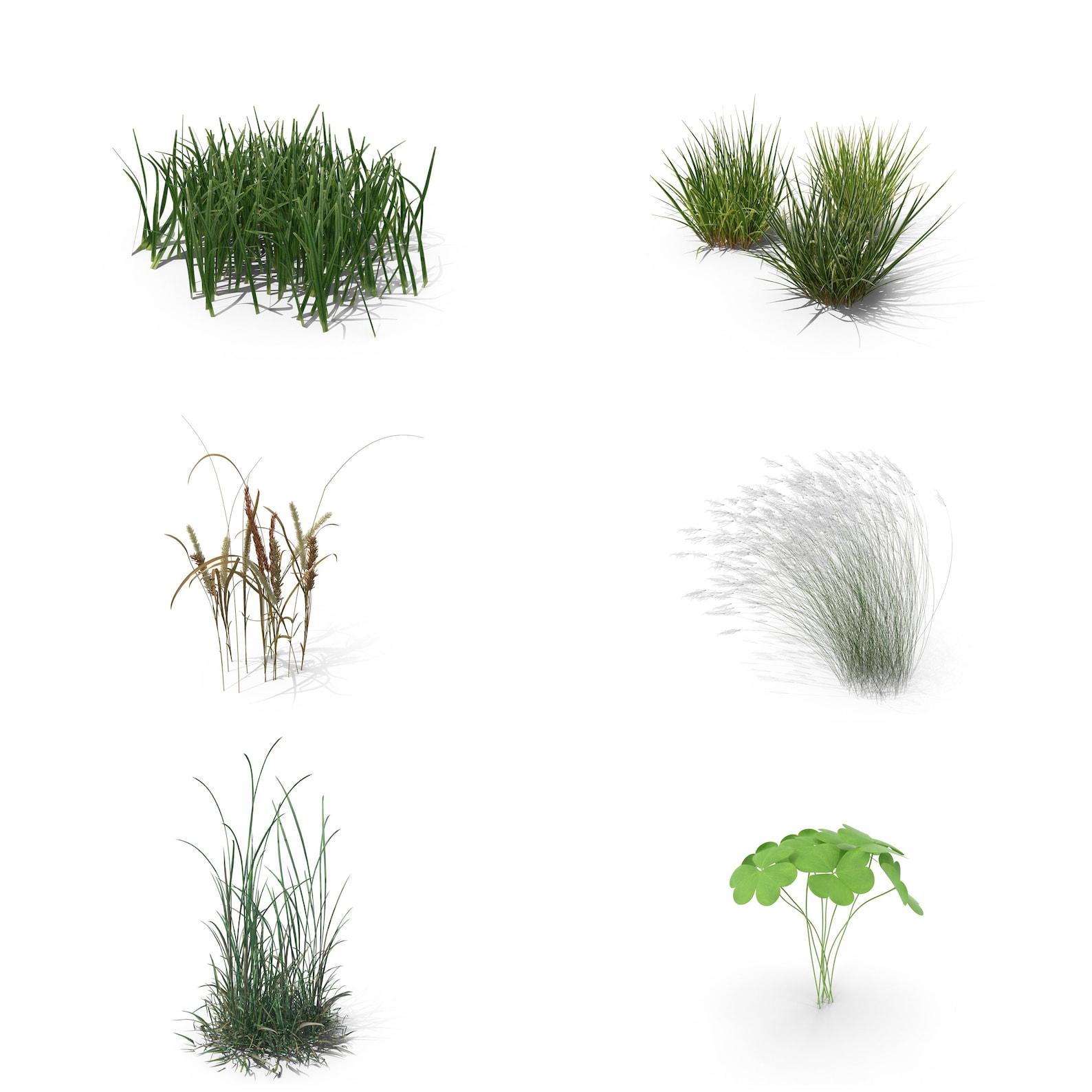 Grass Photoshop Overlays, Photo Overlays Package, Plants Nature PS ...