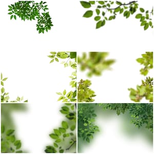 Photoshop Overlays, Leaves Branches Photo Overlays Package, Tree Plants ...