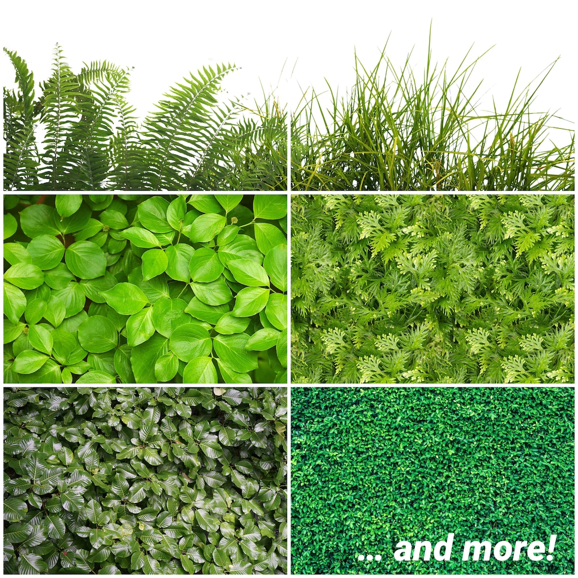 Grass Photoshop Overlays, Photo Overlays Package, Plants Nature PS ...