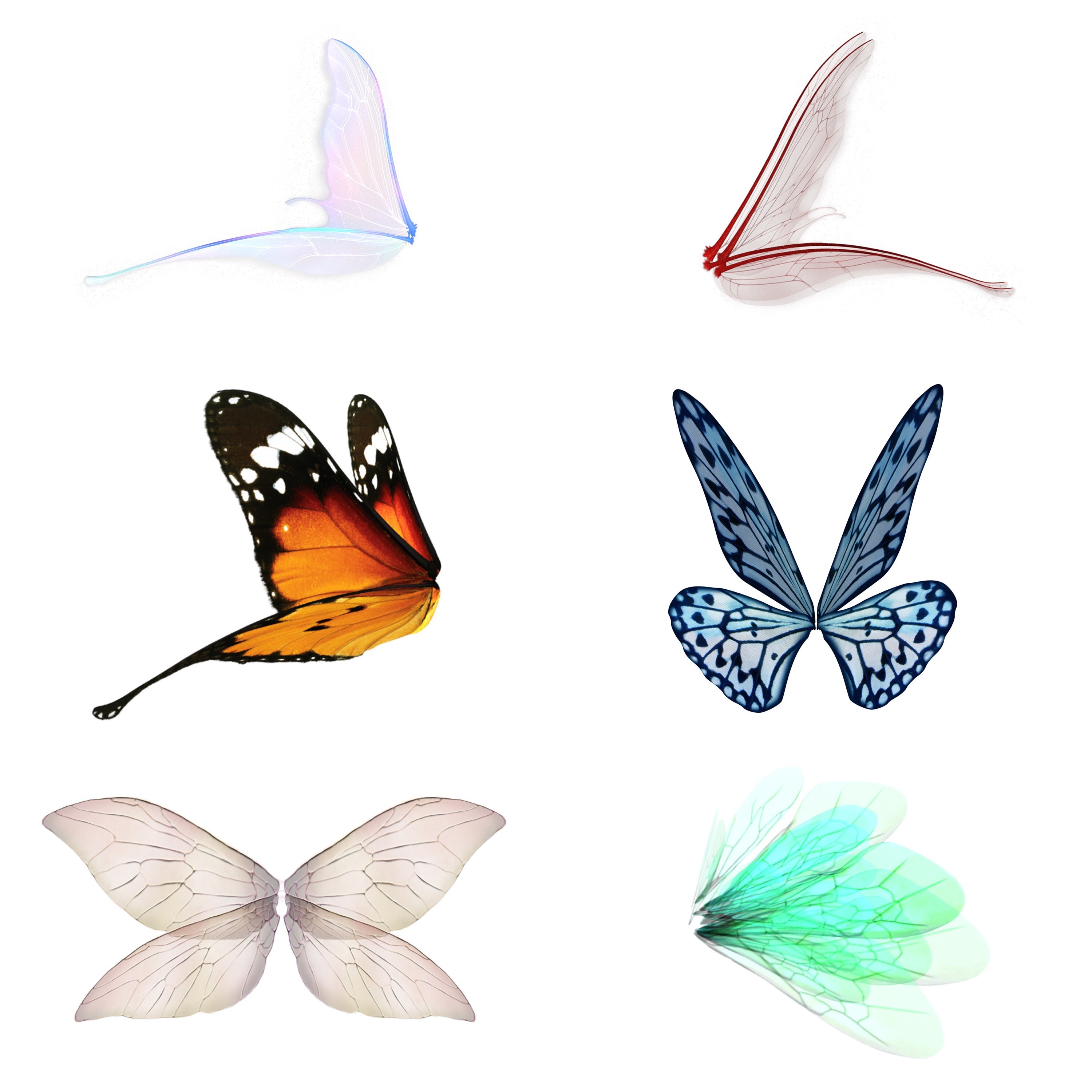 Wing Photoshop Overlays Photo Overlays Package Angle Fairy | Etsy