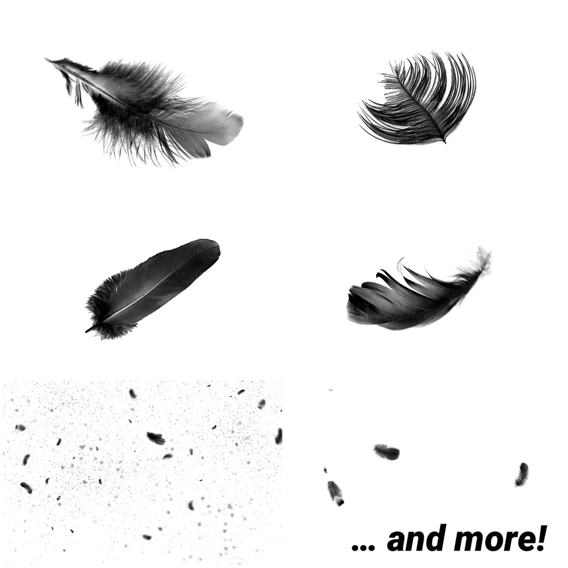 Feather Photoshop Overlays, Photo Overlays Package PS Texture ...