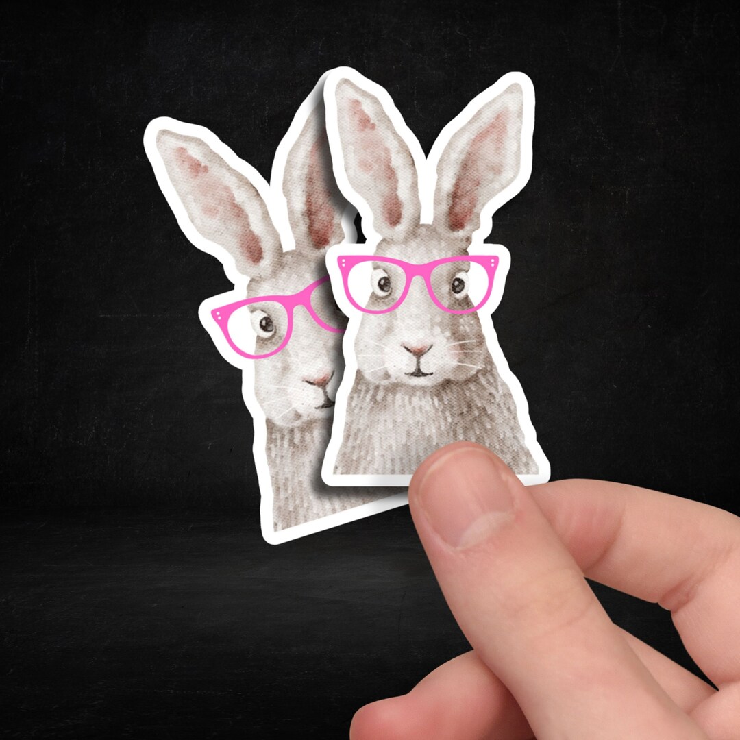 Set of 2 Hare Stickers Hare in Glasses Sticker Water - Etsy
