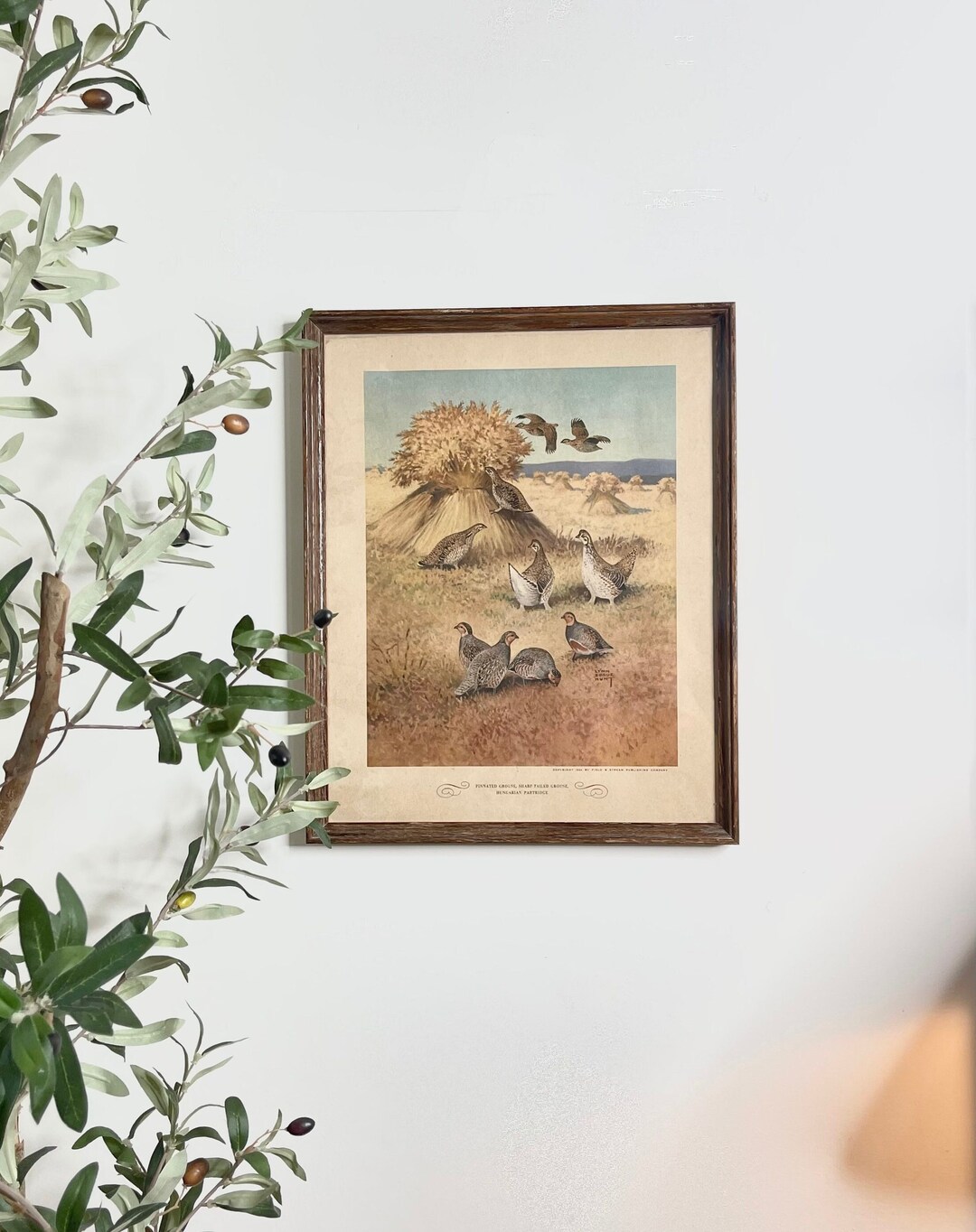 14x17" Vintage Wood Framed Game Birds of America Print by Lynn Bouge ...