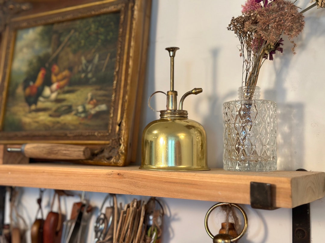 Vintage Brass Plant Mister, Plant Spritzer, Vintage Brass Plant, Brass ...