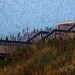 Kitty Hawk - Outer Banks Travel Poster - Kitty Hawk NC OBX - Retro ...