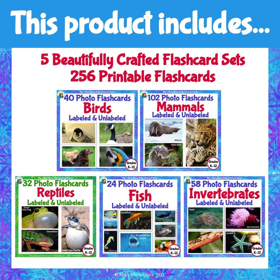 256 Animal Photo Flashcard Mega-bundle: Vertebrates and Invertebrates ...