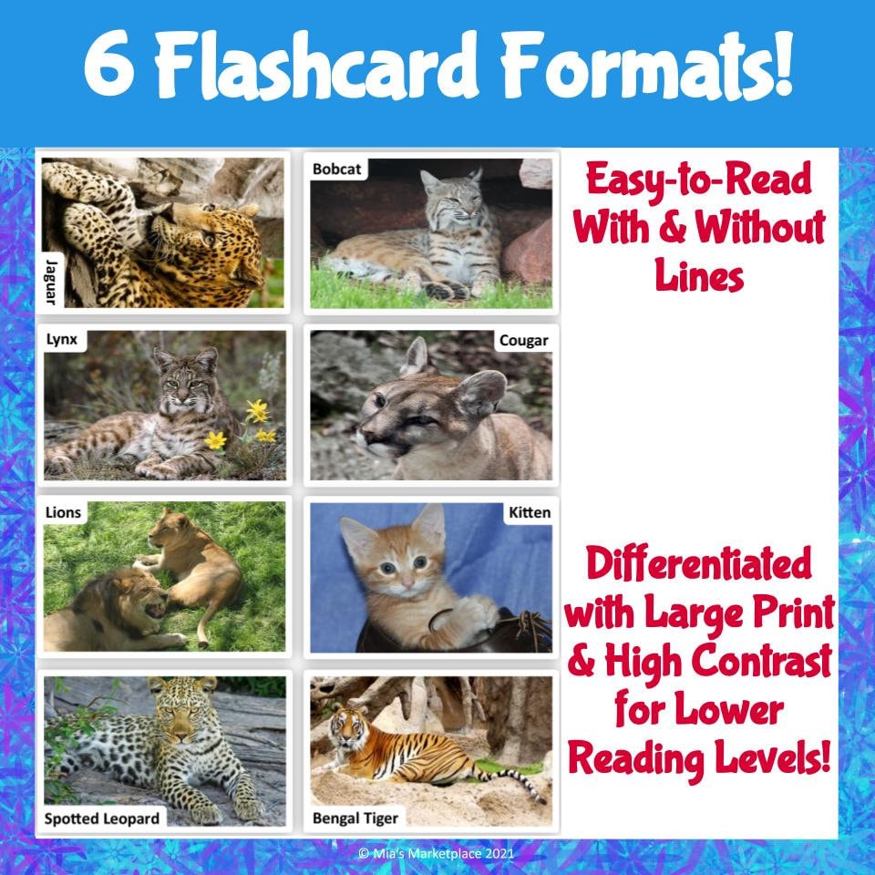 256 Animal Photo Flashcard Mega-bundle: Vertebrates and Invertebrates ...