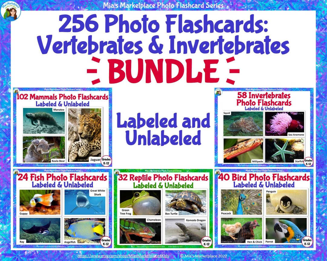 256 Animal Photo Flashcard Mega-bundle: Vertebrates and - Etsy