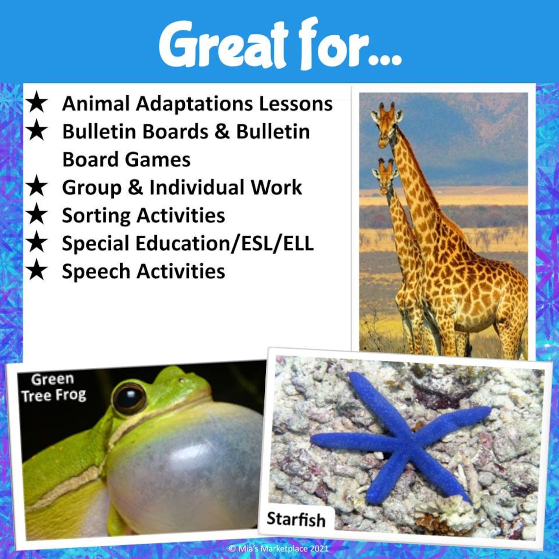 256 Animal Photo Flashcard Mega-bundle: Vertebrates and - Etsy