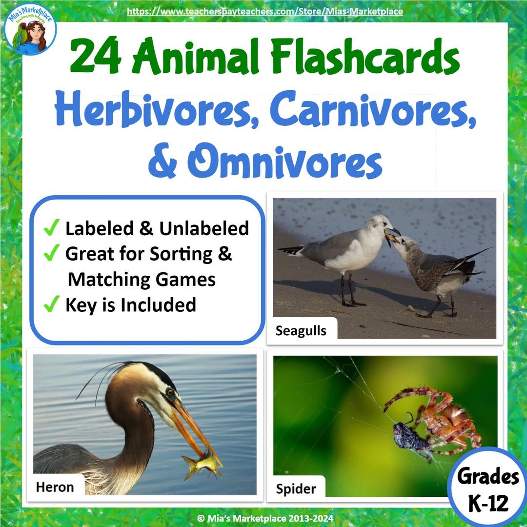 Herbivores, Carnivores, and Omnivores Flashcards & Animal Sorting ...