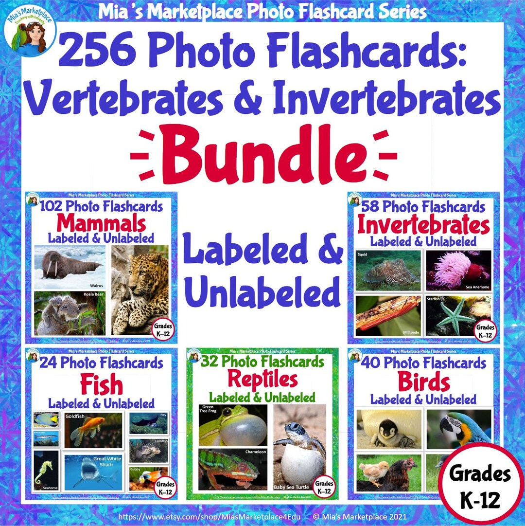 256 Animal Photo Flashcard Mega-bundle: Vertebrates and Invertebrates ...