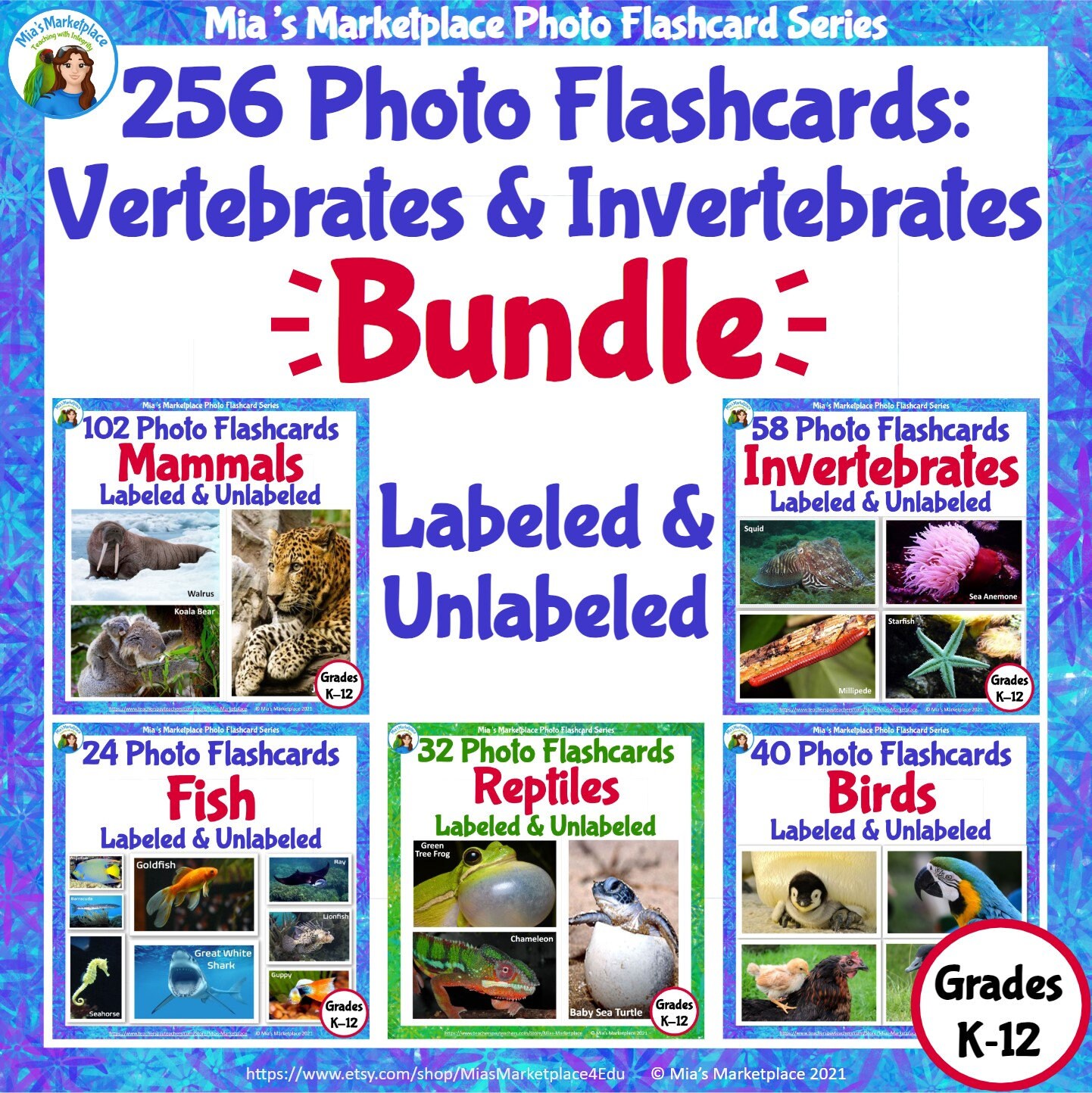 256 Animal Photo Flashcard Mega-bundle: Vertebrates and Invertebrates ...