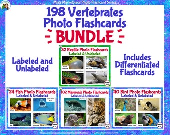 256 Animal Photo Flashcard Mega-bundle: Vertebrates and - Etsy
