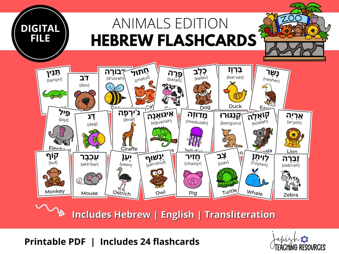 Hebrew Flashcards Animals - Etsy