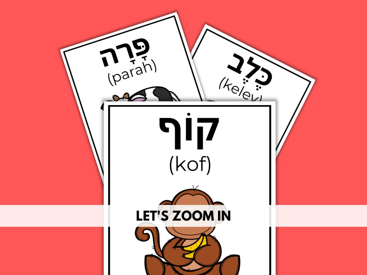 Hebrew Flashcards - Animals - Etsy