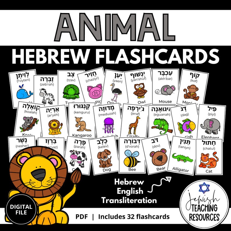 Hebrew Flashcard Digital BUNDLE Colors, Numbers, Animals, Shapes ...