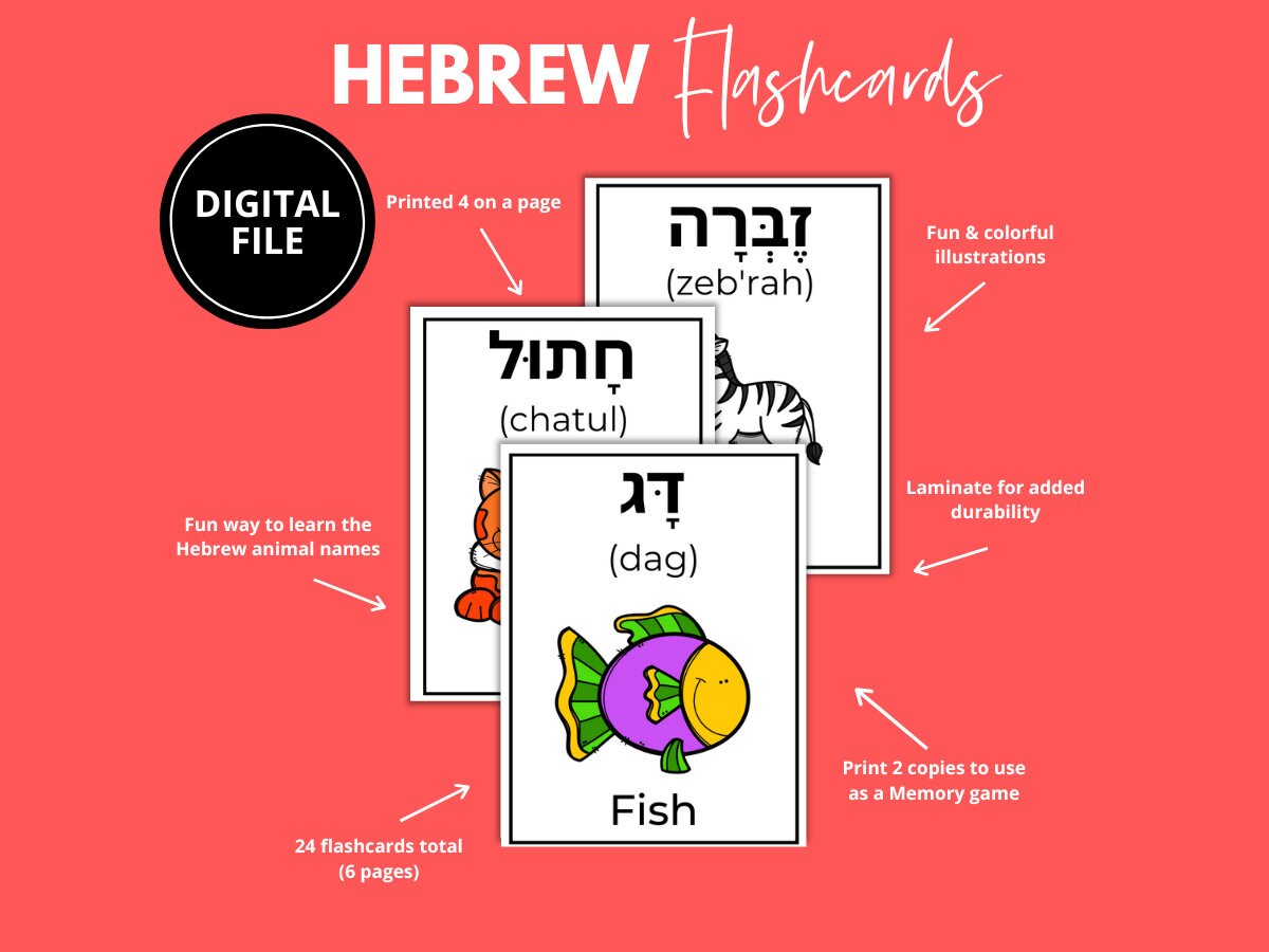 Hebrew Flashcards - Animals - Etsy