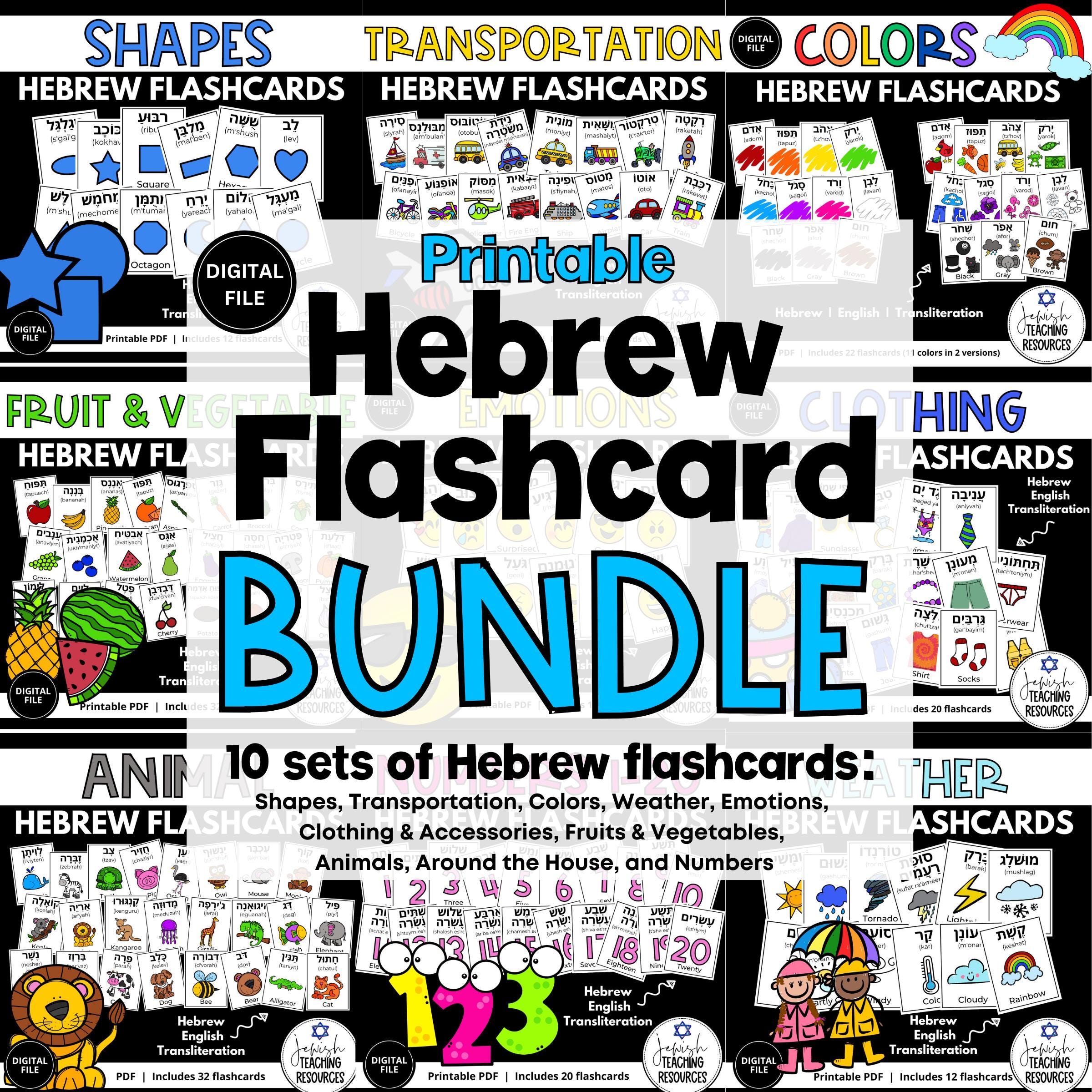 Hebrew Flashcard Digital BUNDLE Colors, Numbers, Animals, Shapes ...