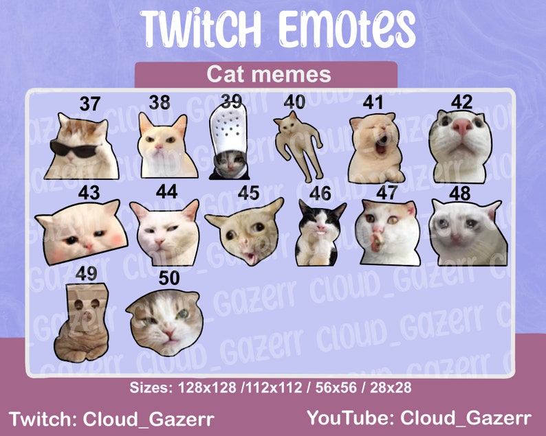 50 Cat Meme Emotes for Discord and Twitch Streaming - Etsy