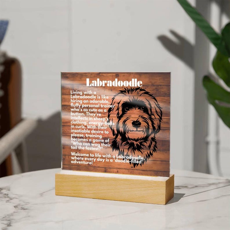 Night Light Lamp for Labradoodle Lover, Home Accessories With LED Light ...