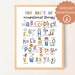 Pastel Rainbow Speech Therapy Classroom Decor, Speech and Language ...