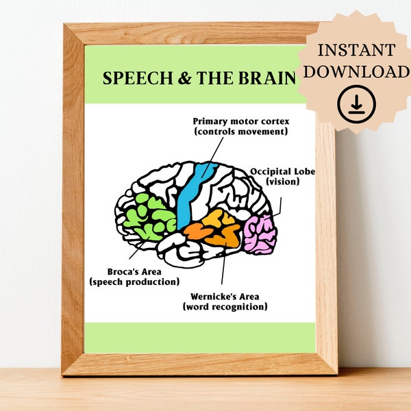 Brain Poster for Office - Etsy