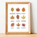 OT Pediatric Posters, Occupational Therapy Printables, Pediatric ...