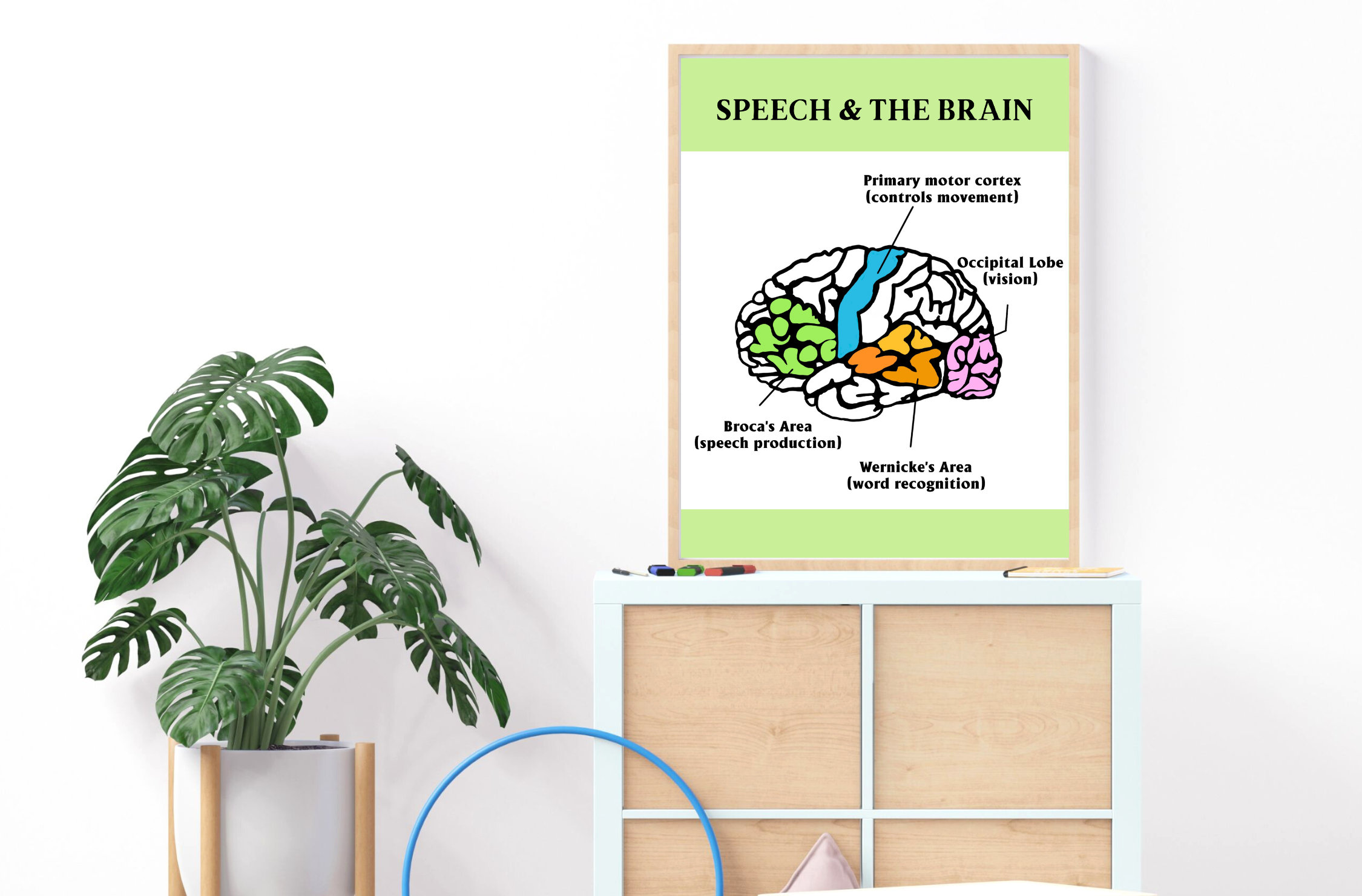 Printable Speech Brain Poster, Brain Anatomy for Speech and Language ...