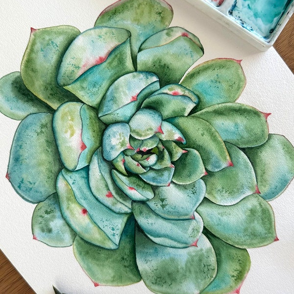 Succulent Painting - Etsy