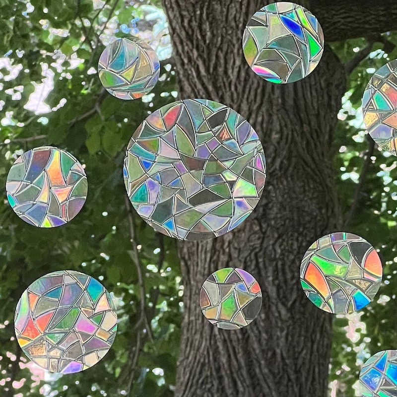 Suncatcher Film - Etsy