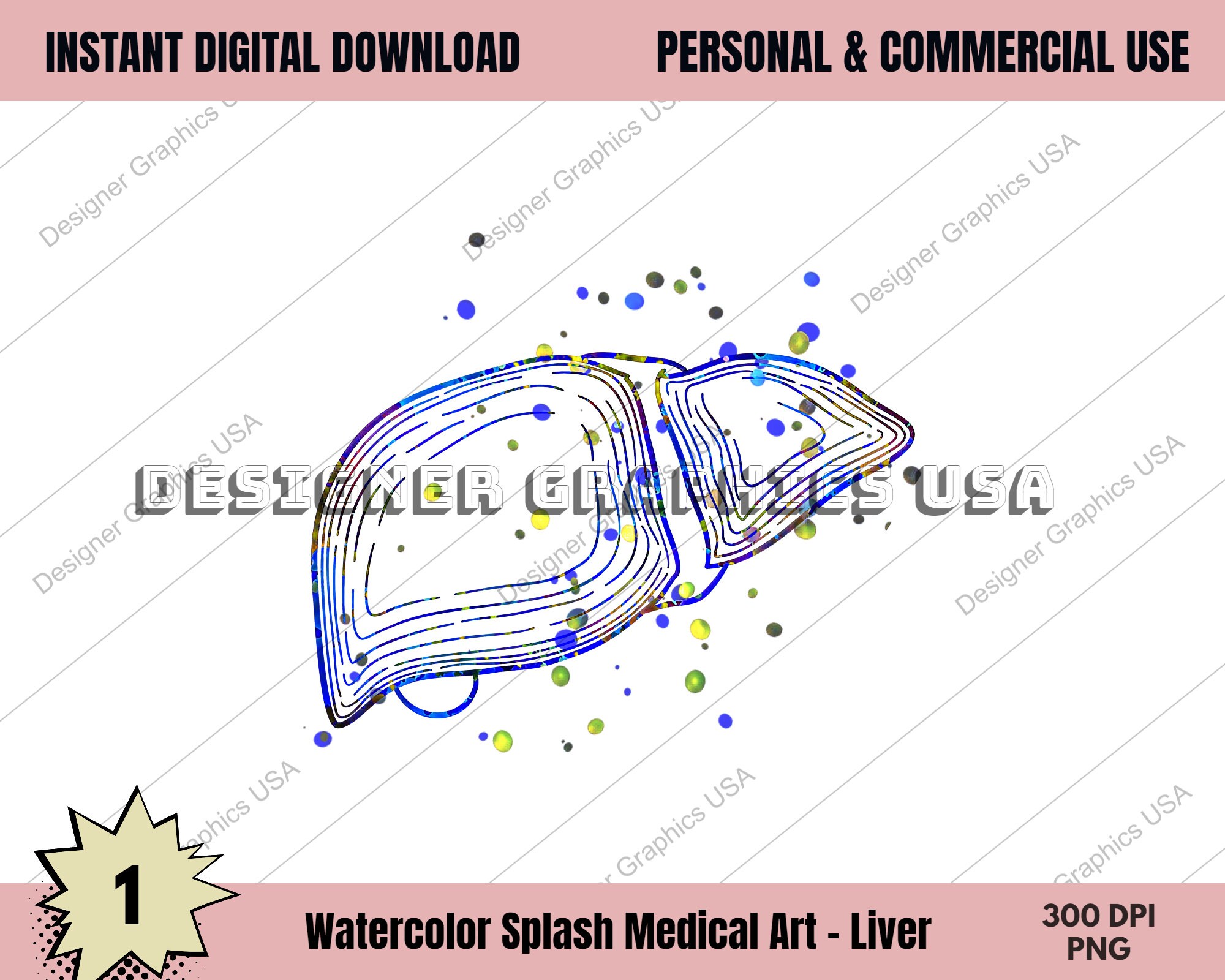 Liver PNG, Watercolor Liver Art PNG Human Medical Anatomy PNG Medical ...