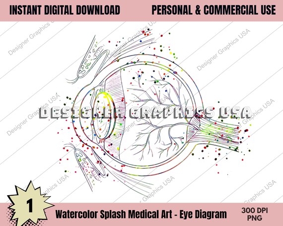 Eenvoudig Menselijk Oogdiagram