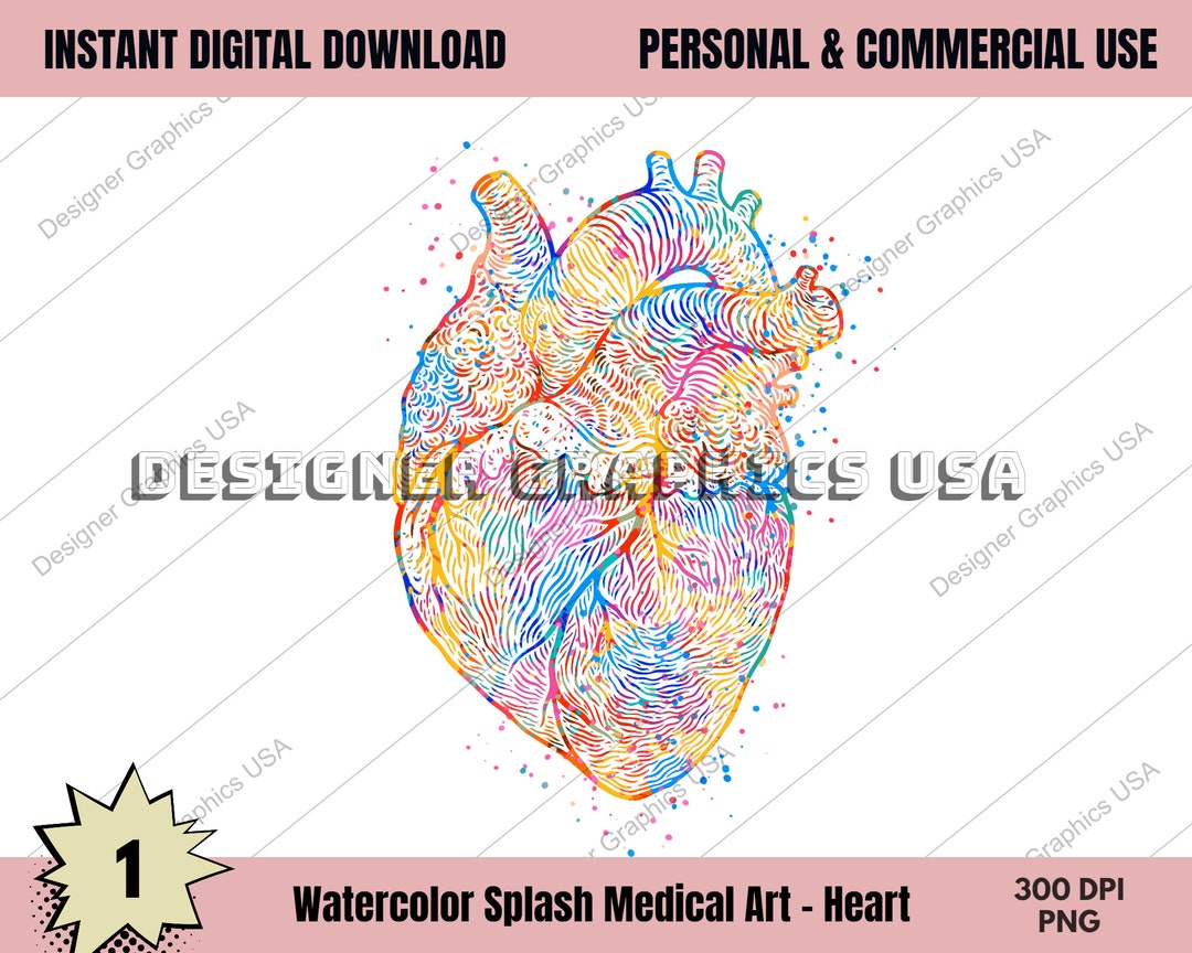 Heart PNG, Watercolor Heart Art PNG Human Medical Anatomy PNG Medical ...