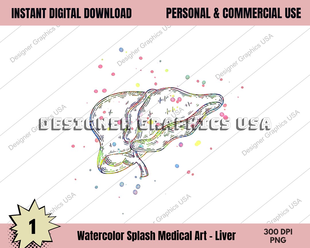 Liver PNG, Watercolor Liver Art PNG Human Medical Anatomy PNG Medical ...