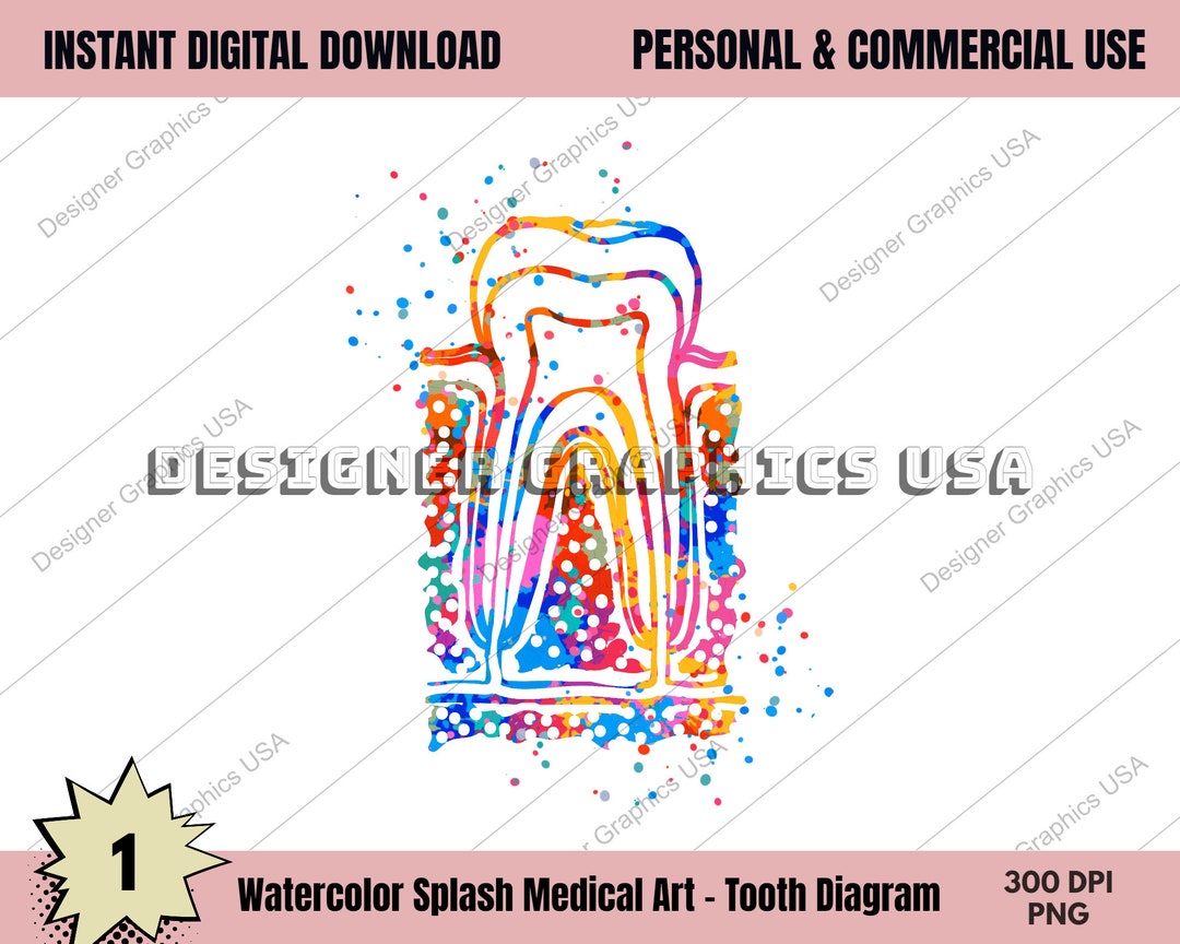 Tooth PNG, Watercolor Tooth Art PNG Human Medical Anatomy PNG Medical ...