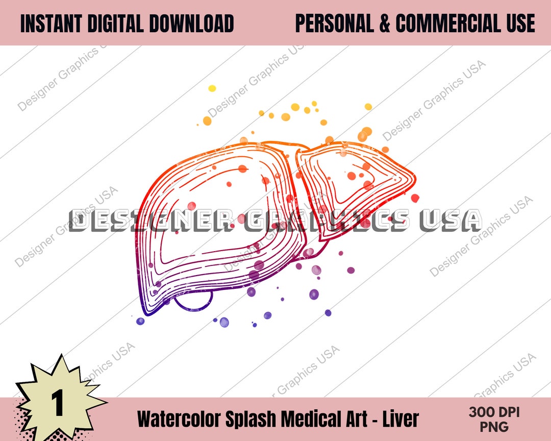 Liver PNG, Watercolor Liver Art PNG Human Medical Anatomy PNG Medical ...