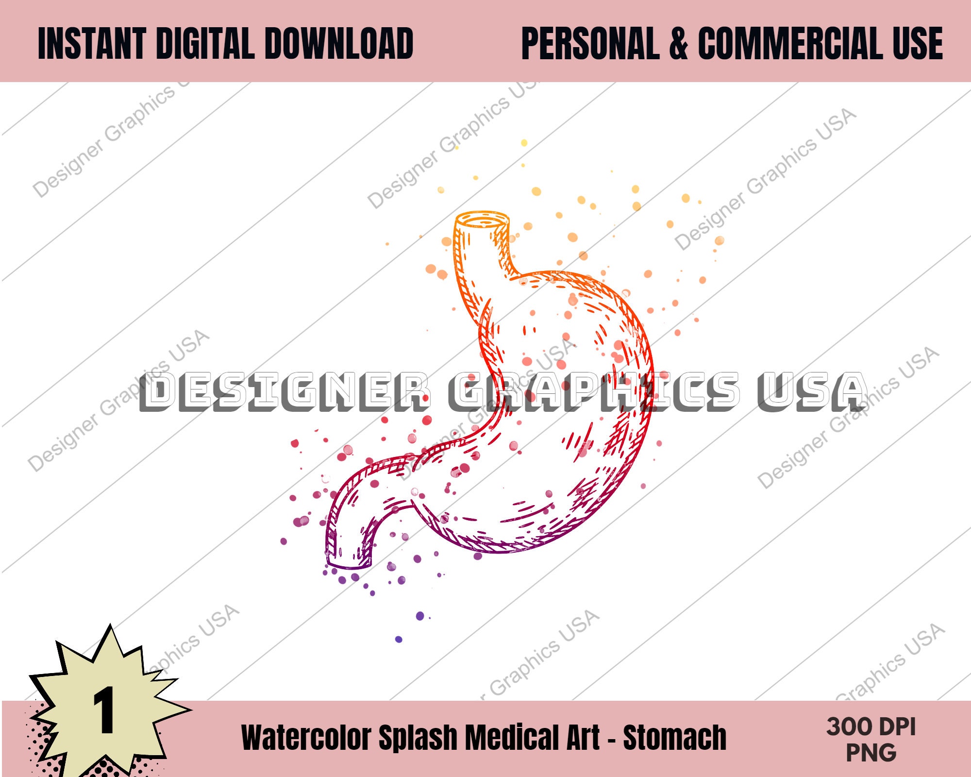 Stomach Art PNG Human Medical Anatomy PNG Art Print Wall Art Medical ...