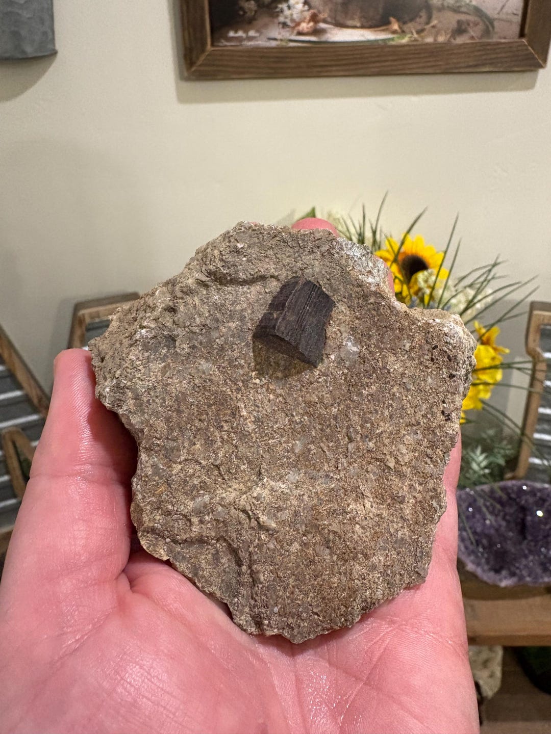 Limonite Pyrite Pseudomorph Cube in Matrix! - Etsy