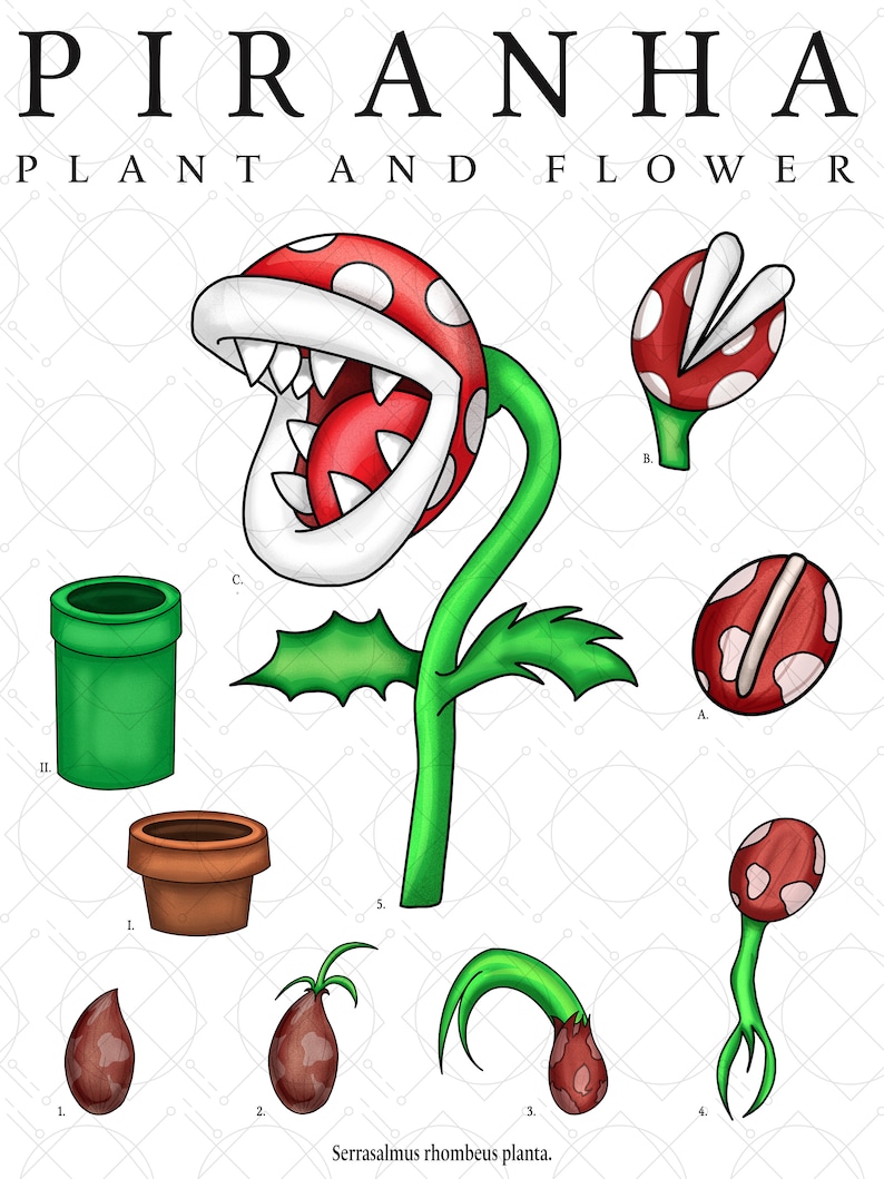 Anatomy of a Piranha Plant T Shirt, Mario Shirt, Gaming Shirt, Gaming ...