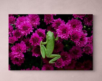 Green Tree Frog 1 Original Art Print - Etsy