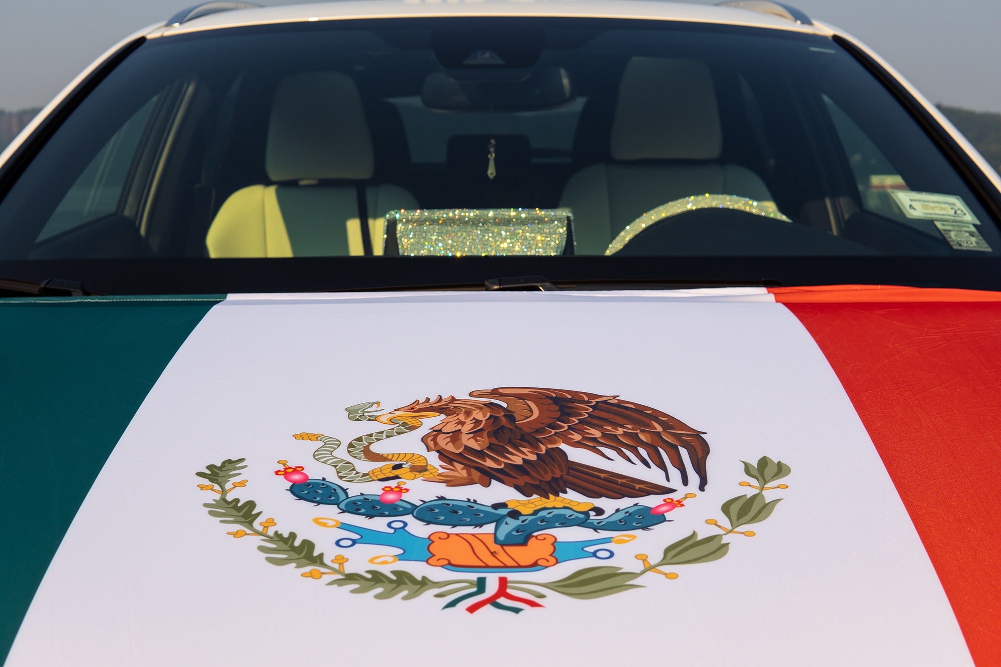 Hoodsflags Mexico Hood Cover Flag Universal Size Elastic Polyester ...