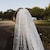 Sequin Hen Party Veil Bride to Be Veil Gift Bachelorette Veil Sparkly ...