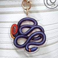 Anatomy of A Boa Constrictor Snake A4 Signed Print - Etsy