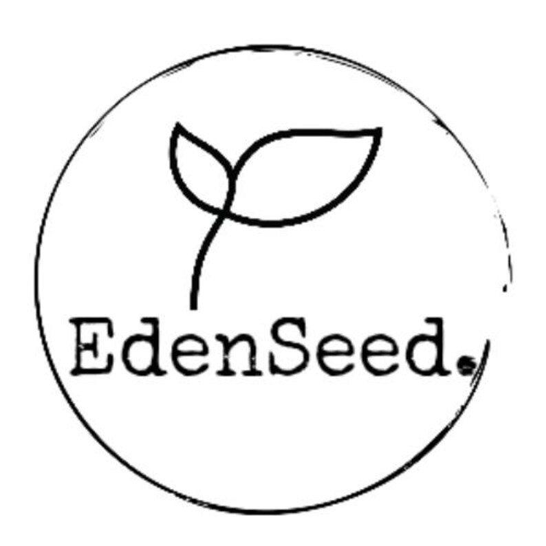 Holy Fire-handmade Clay Tribal Necklace - Etsy