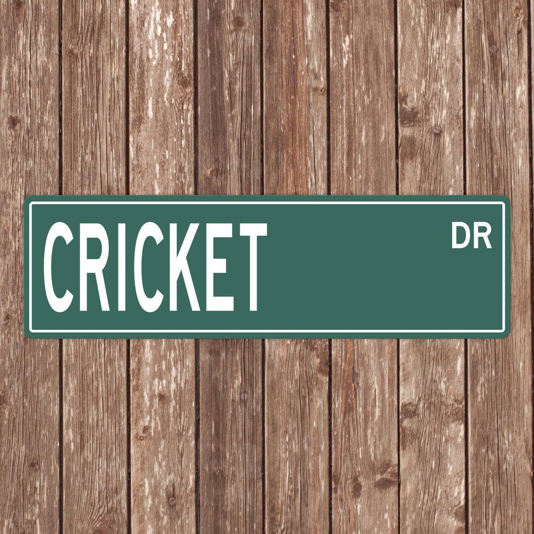Custom Cricket Street Sign - Perfect Gift for Cricket Fans & Players ...