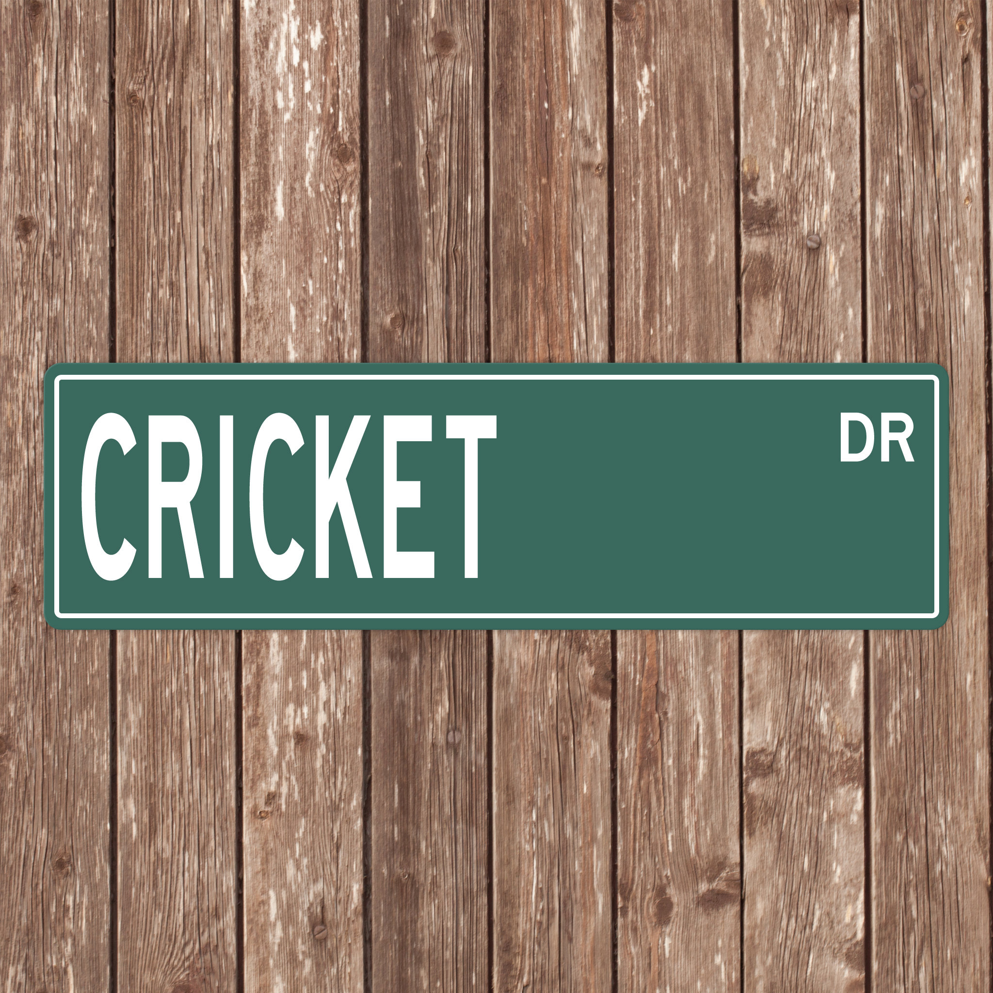 Custom Cricket Street Sign Perfect Gift for Cricket Fans & Players ...