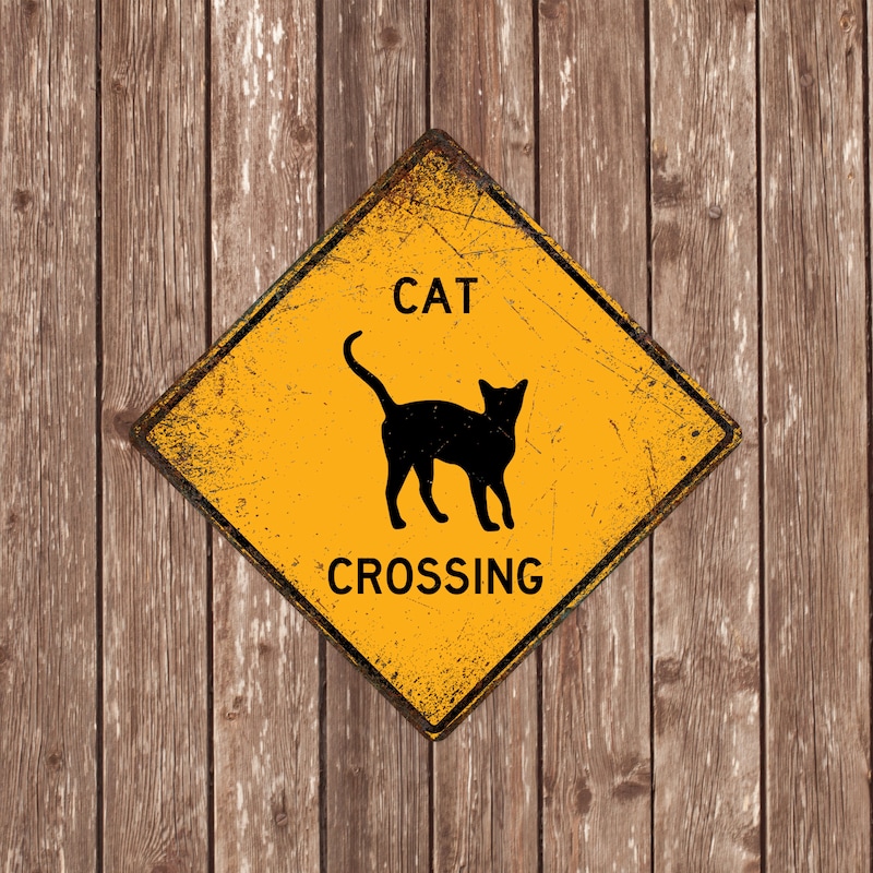 Cat Vomit Warning Sign - Etsy